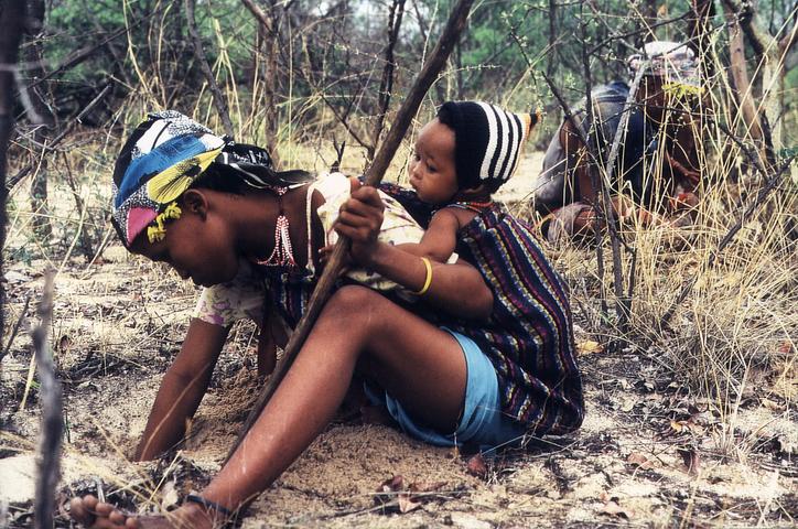 Botswana: Helicopter crashes after shooting at Bushmen