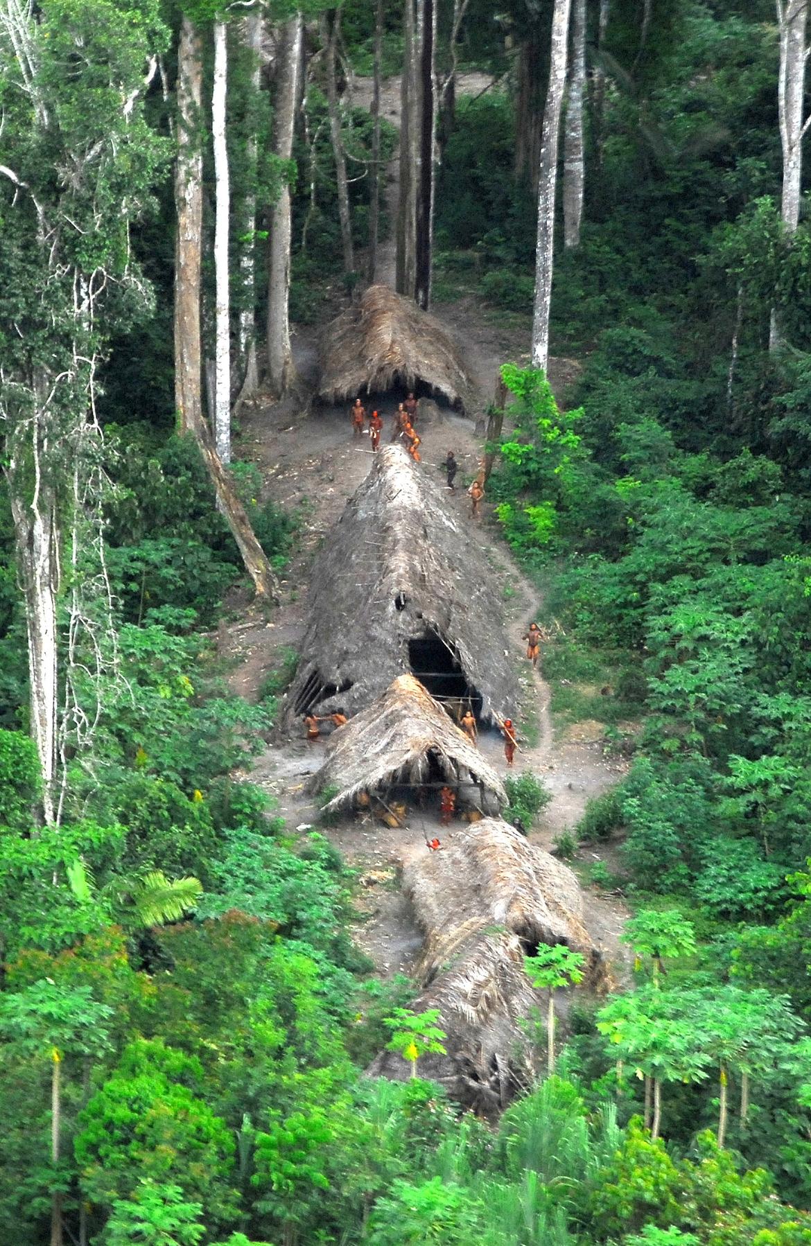 Questions and answers: uncontacted tribes - Survival International