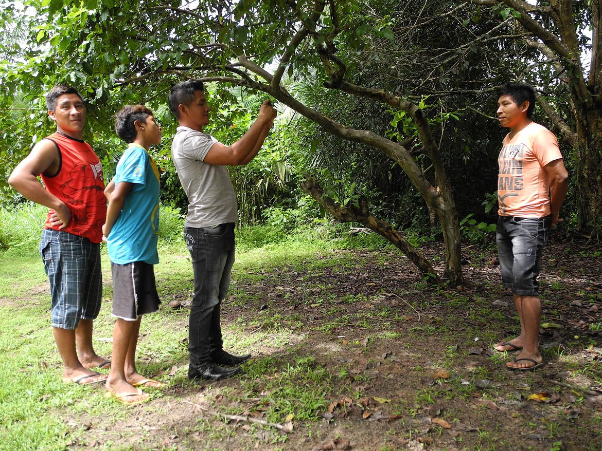 Ten big changes in fifty years of fighting for tribal peoples ...