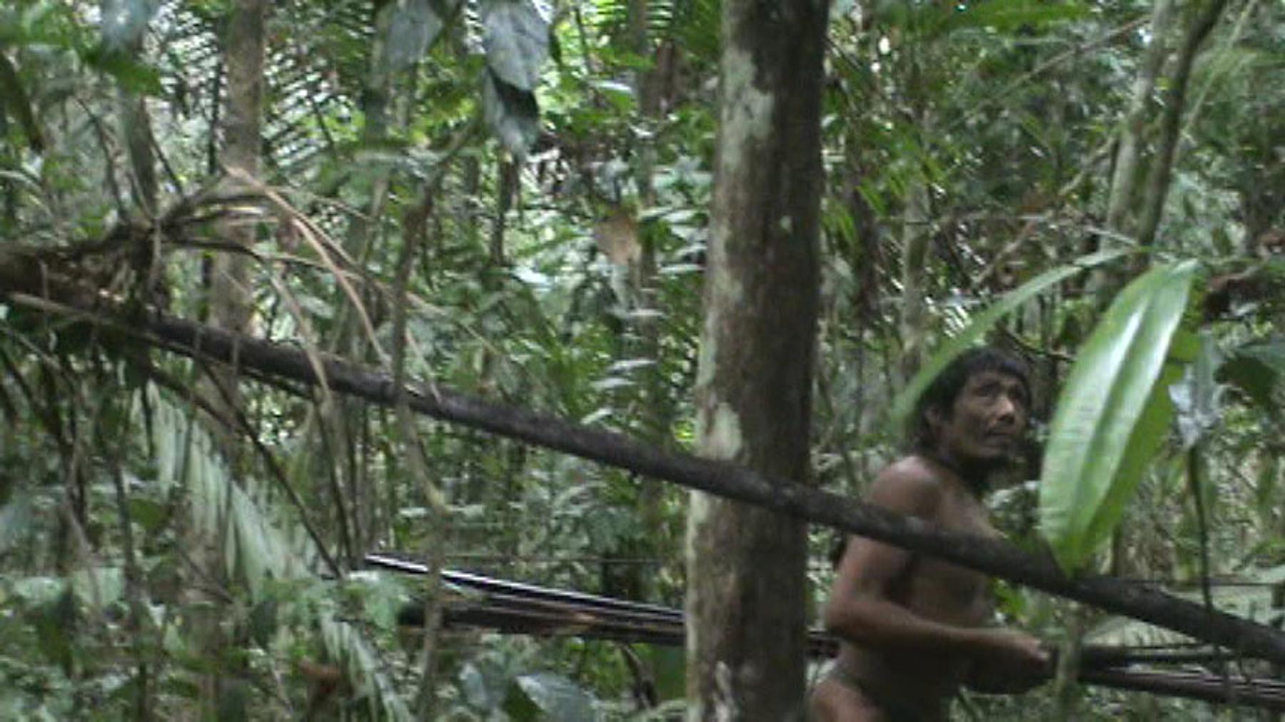 UN Indigenous Peoples’ Day: Uncontacted Amazon tribe faces annihilation
