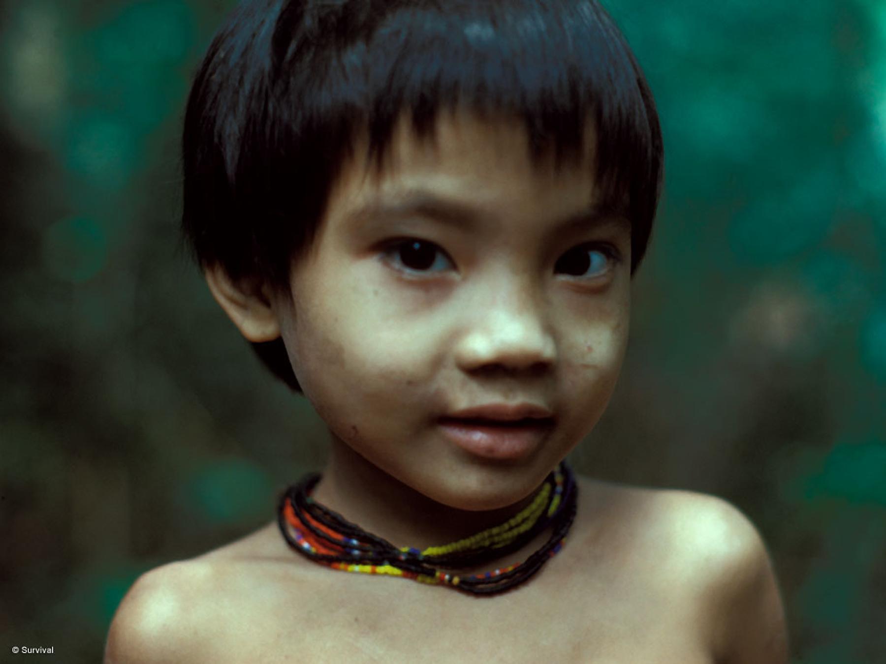 US human rights report shines spotlight on Penan tribe