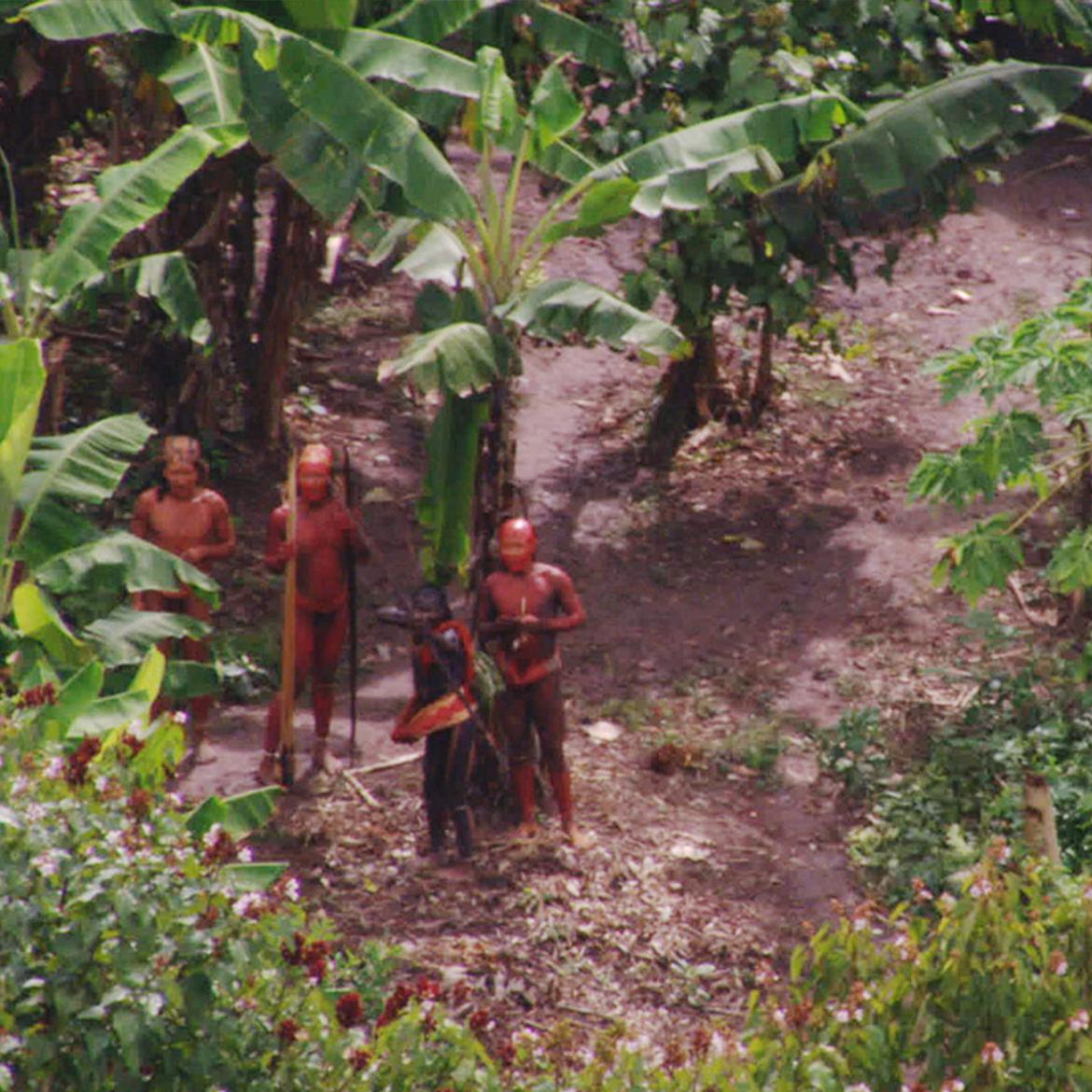 UN expert calls for more protection for uncontacted tribes