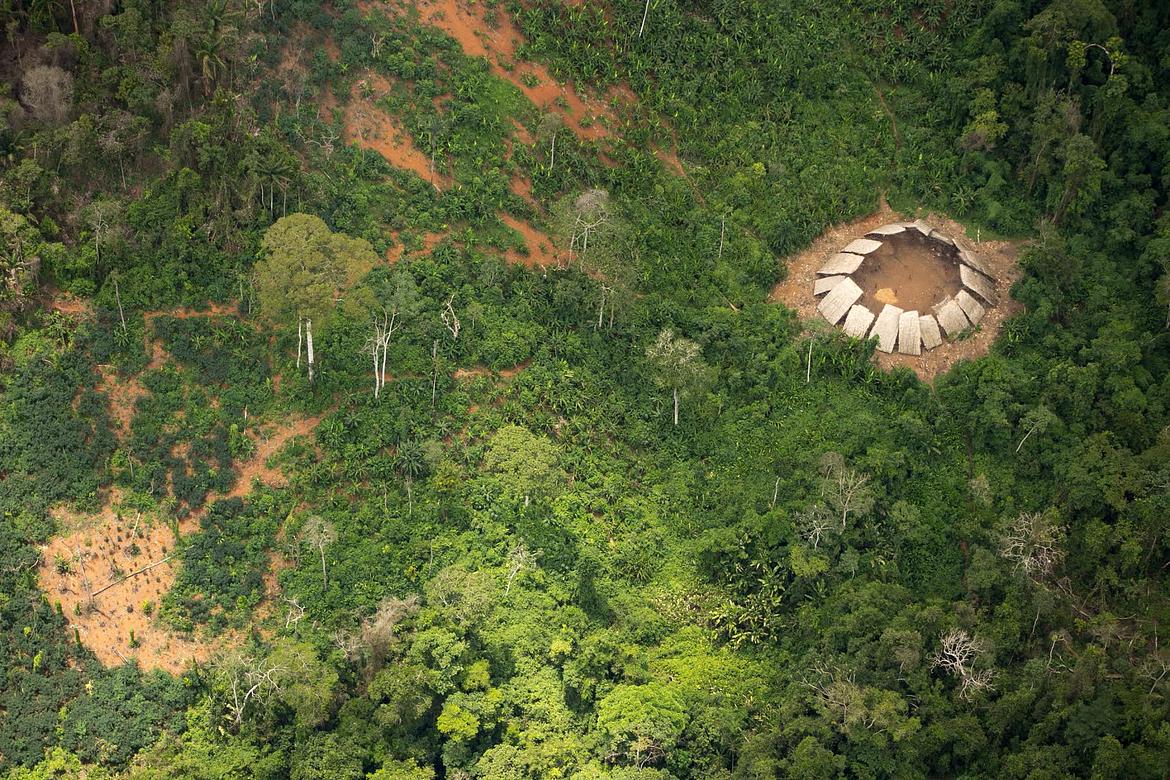 Incredible new photos of uncontacted Amazon tribe – that could be wiped out