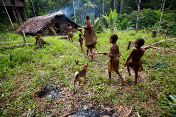 Question and answers: Uncontacted tribes of Papua - Survival International