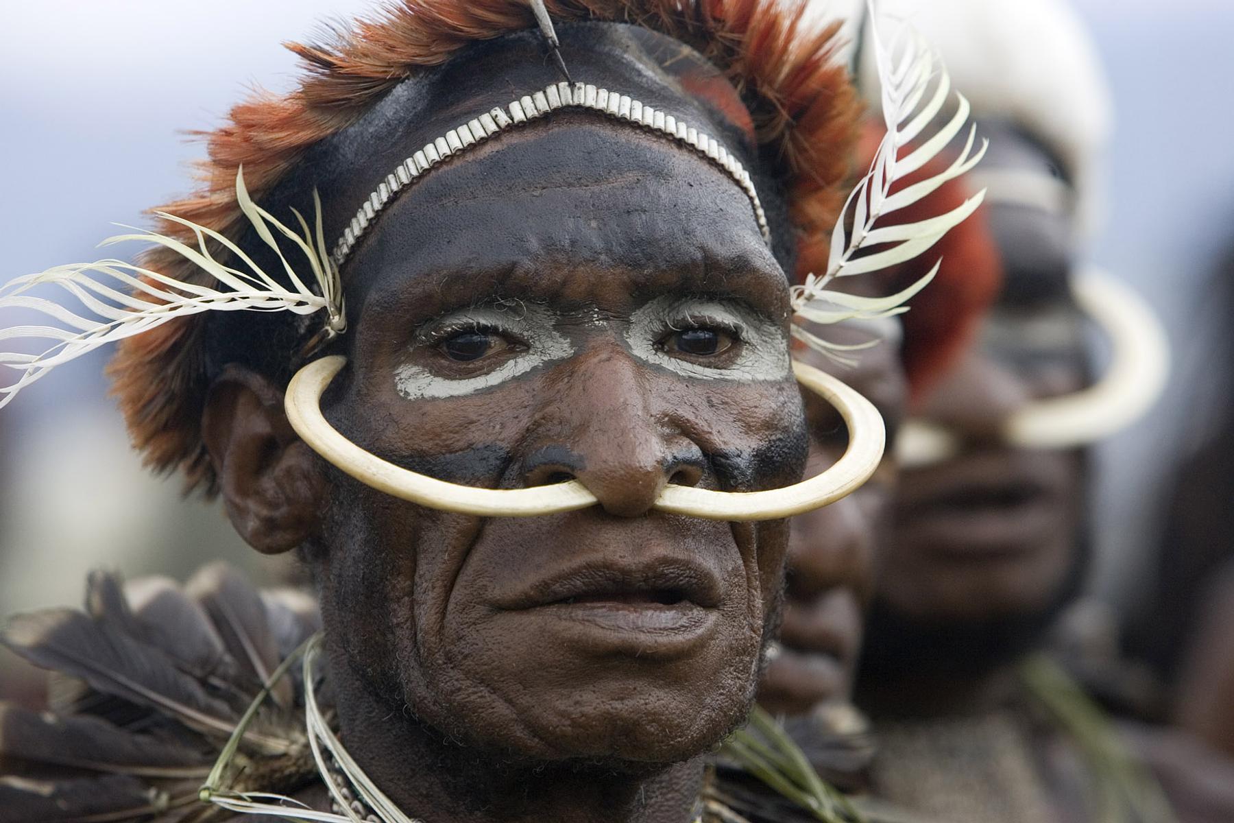 Question and answers: Uncontacted tribes of Papua - Survival International