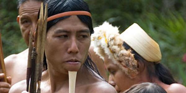 Mulheres Da Tribo Amazonica Mãe Indiana Da Tribo Arawete Amazon No