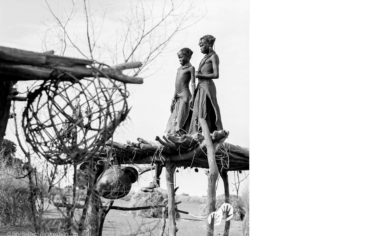 We, the People 2019 - The 50th anniversary Calendar - Survival ...