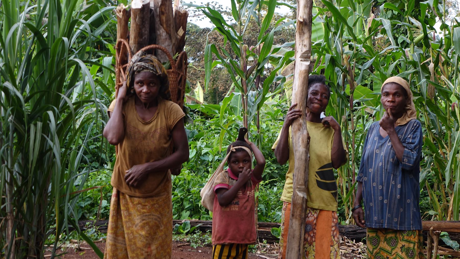 Why conservation needs to change: an FAQ about Survival's campaign ...
