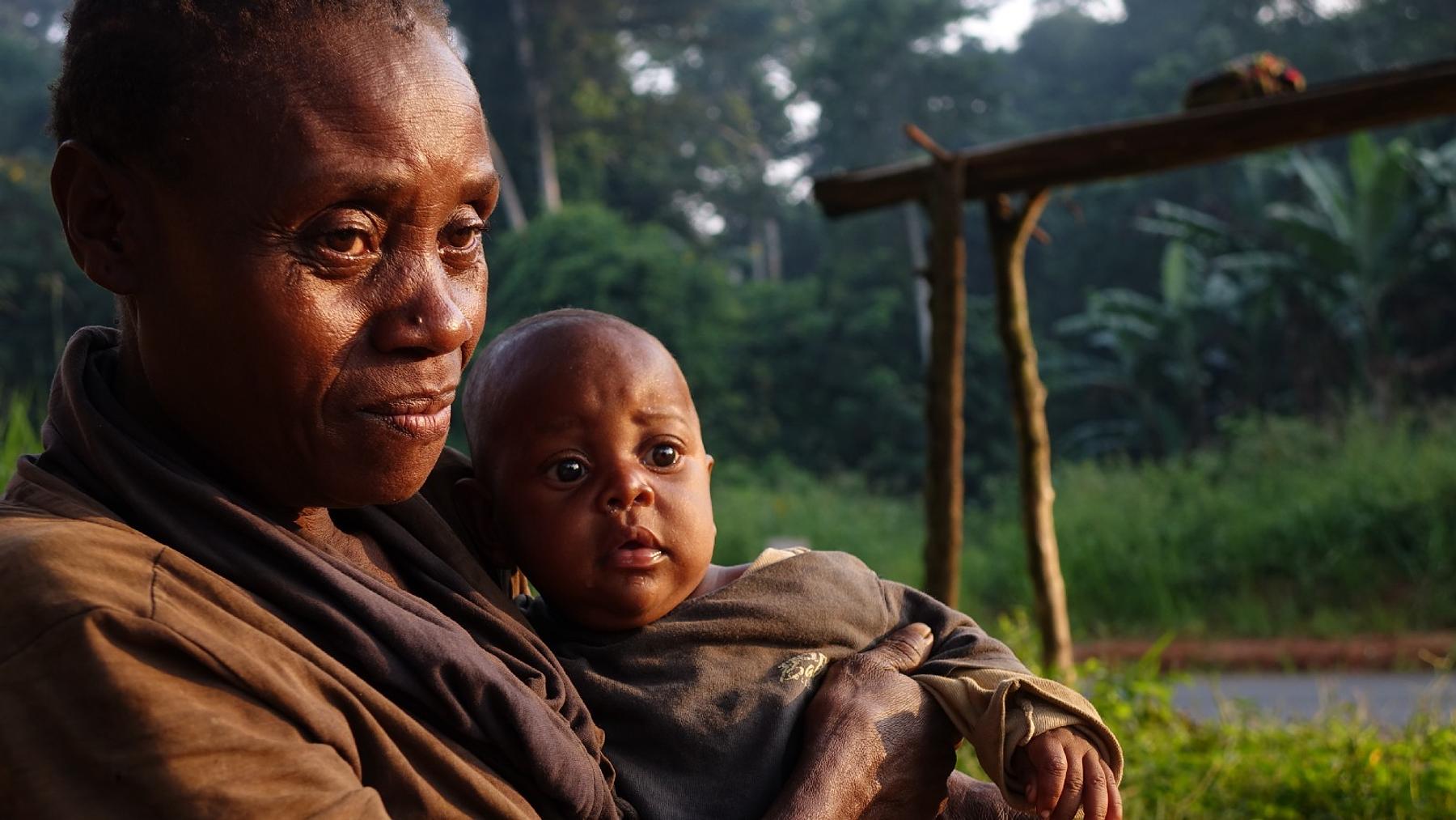 WWF is complicit in human rights abuses and illegal land theft ...