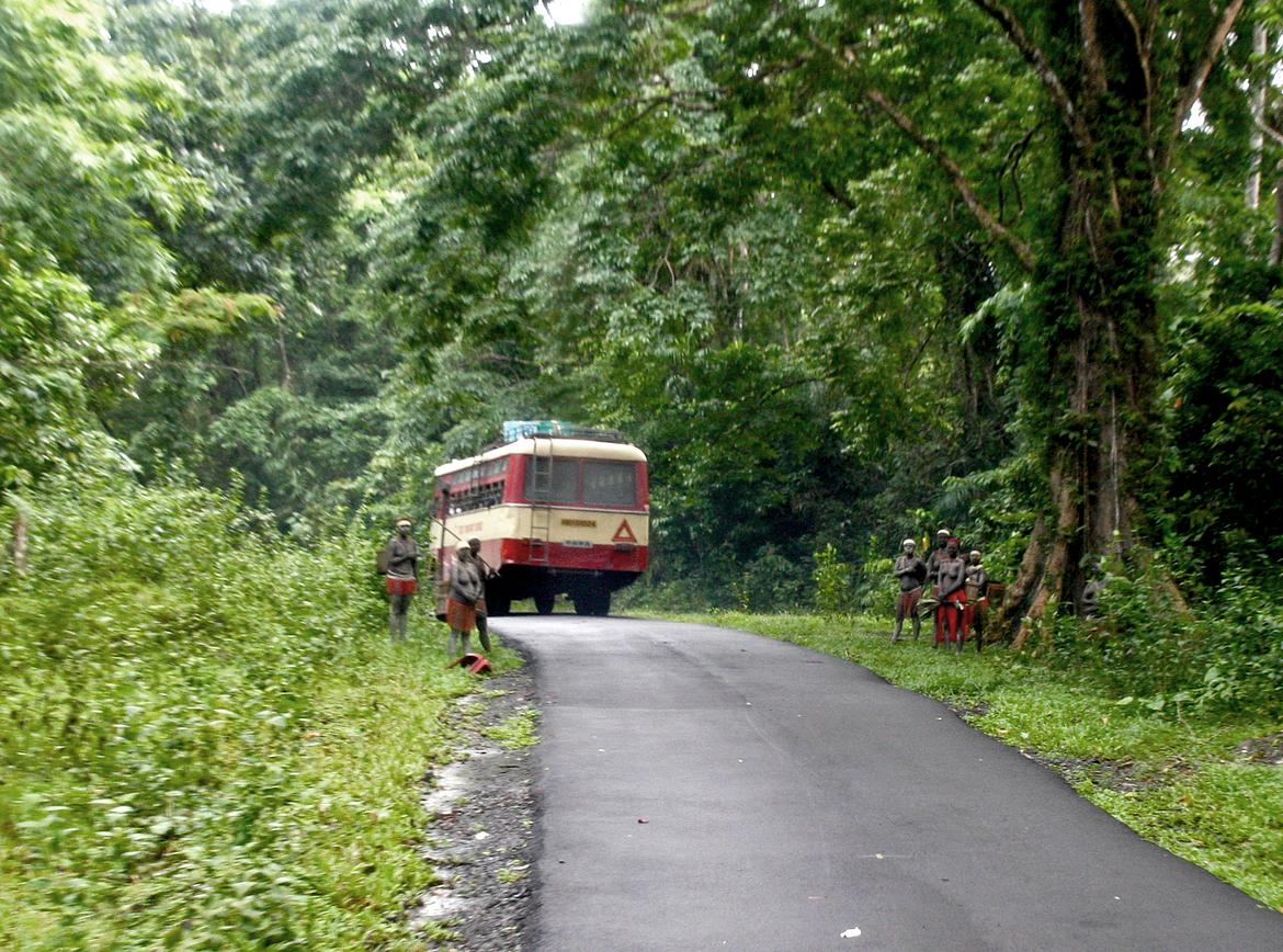 Jarawa face year-round threat from 'human safaris' under new government ...