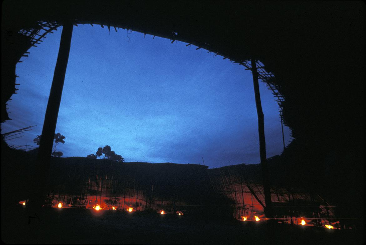 The Yanomami are great observers of nature - Survival International