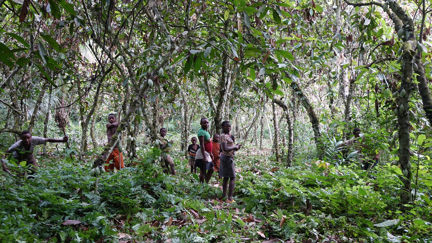 There can be no biodiversity without human diversity - Survival ...