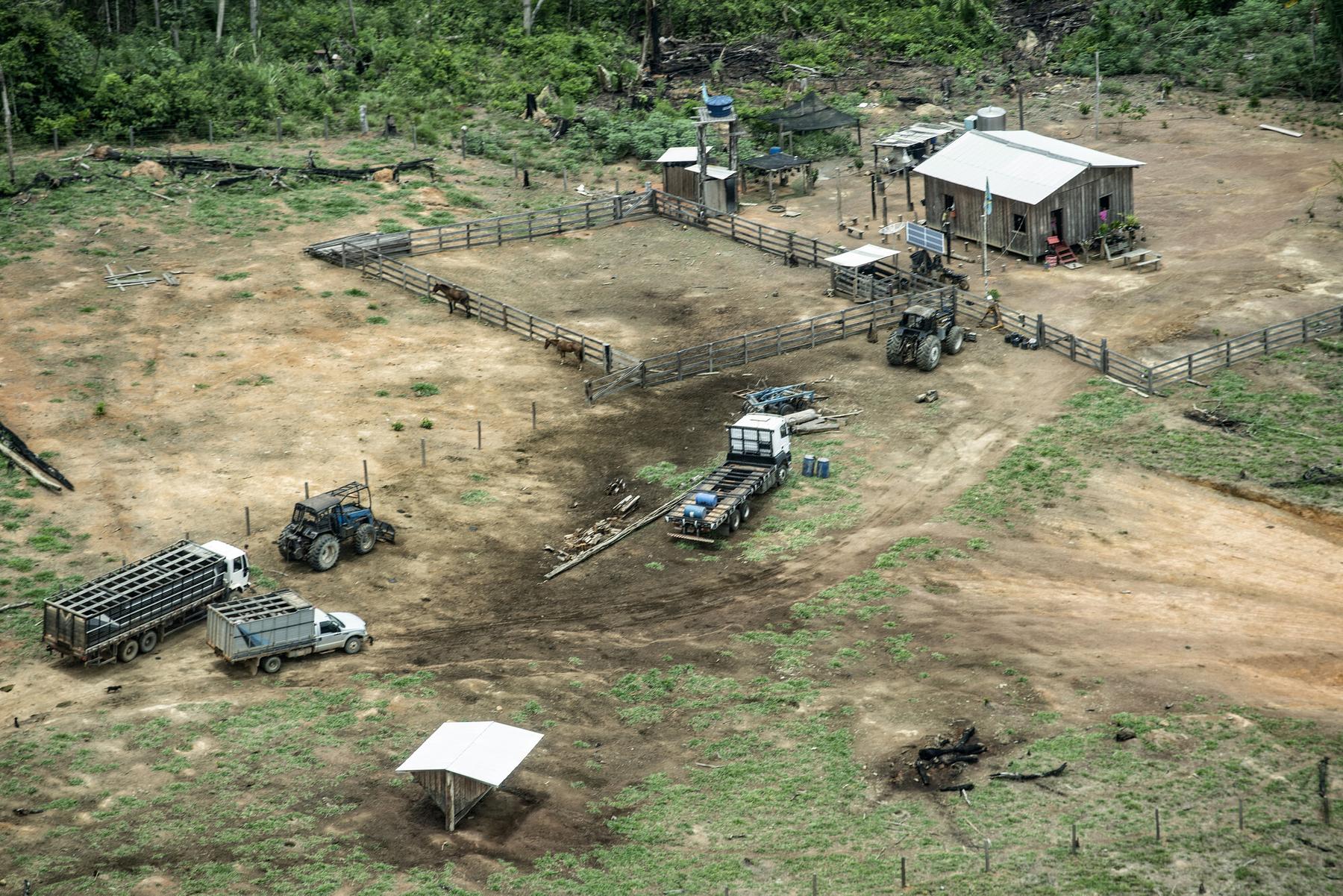 Uncontacted tribe’s land invaded and destroyed for beef production