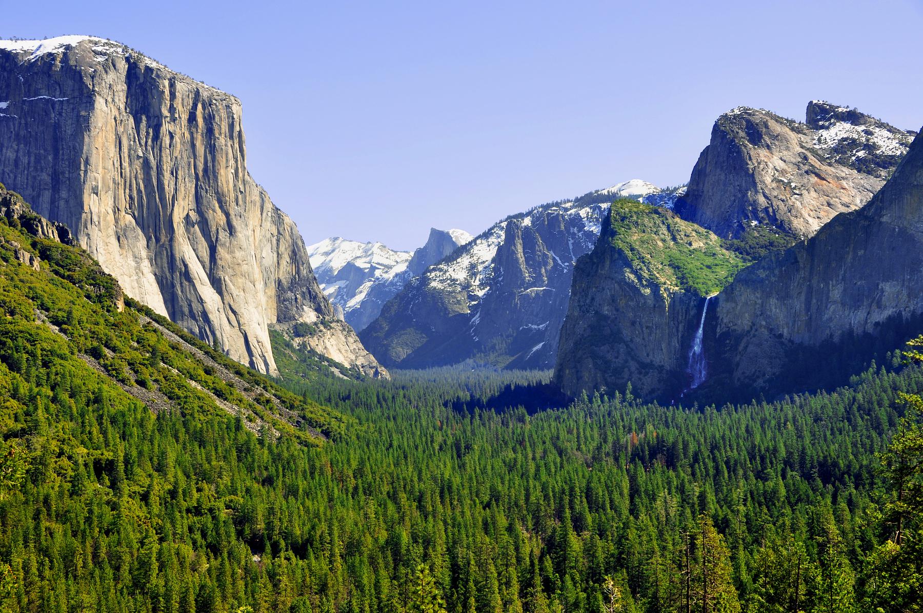 On the 'wild', human imagination and tribal peoples - Survival ...