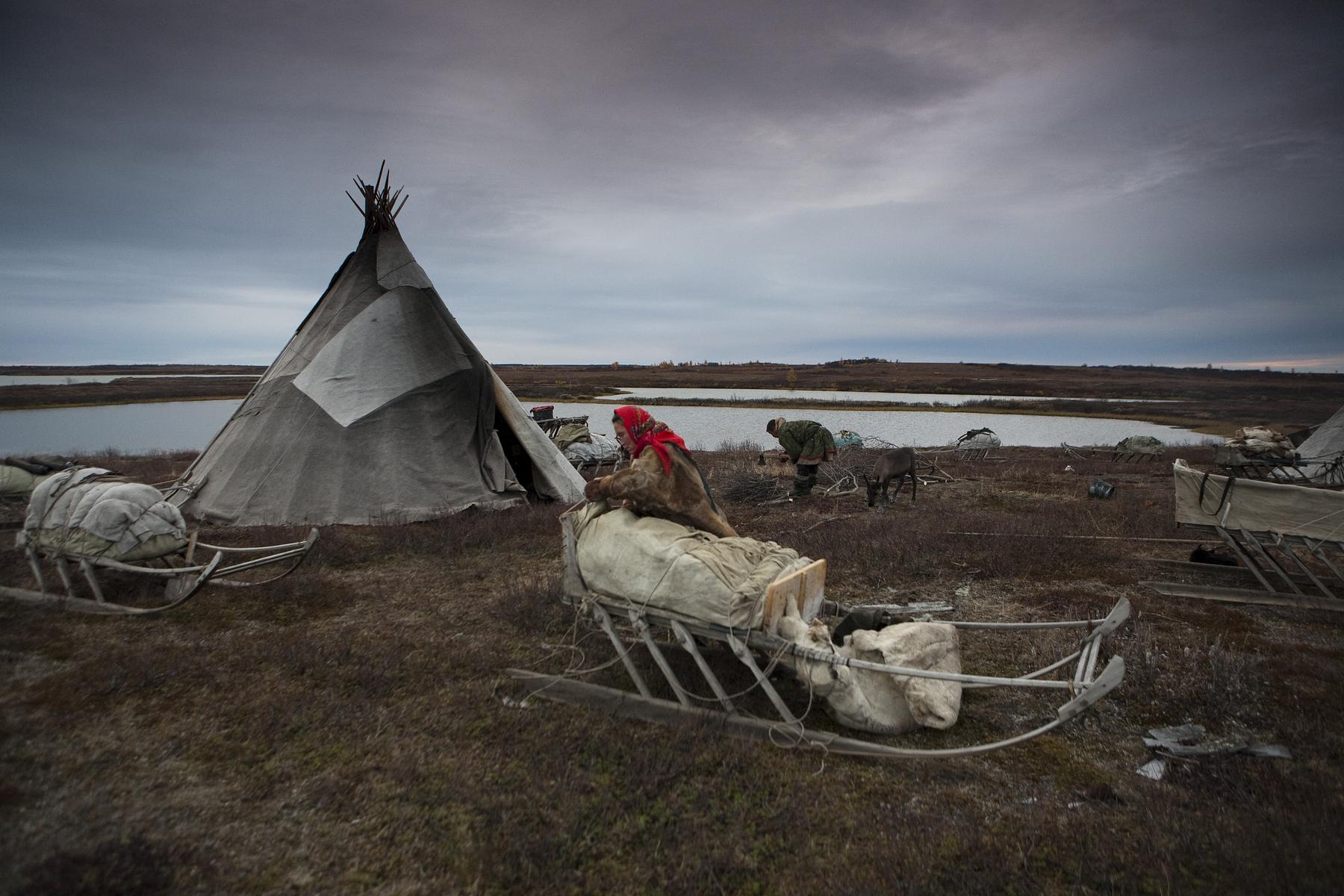 The Nenets of Siberia - Survival International
