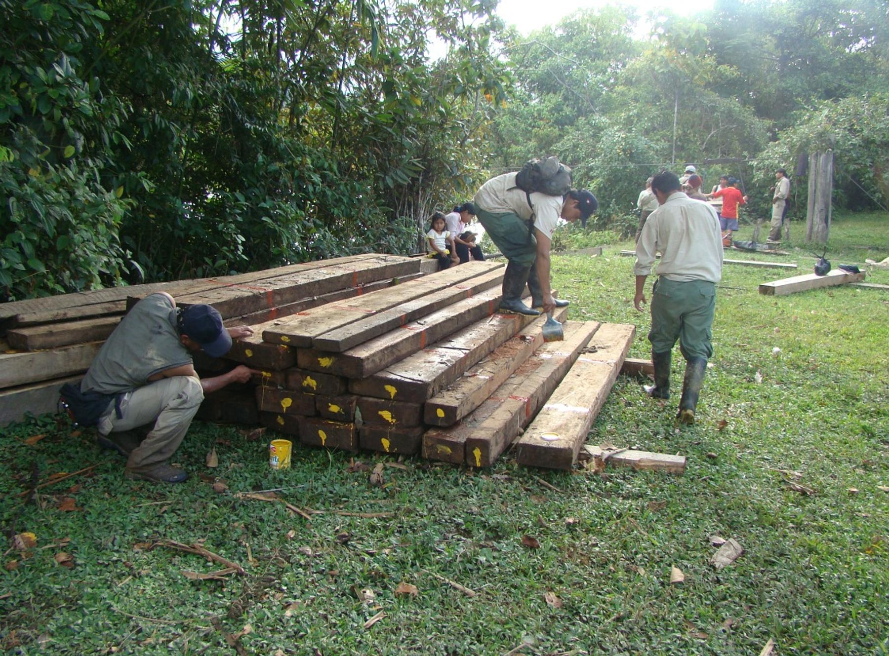 Illegal loggers seized days after photos of uncontacted Indians released