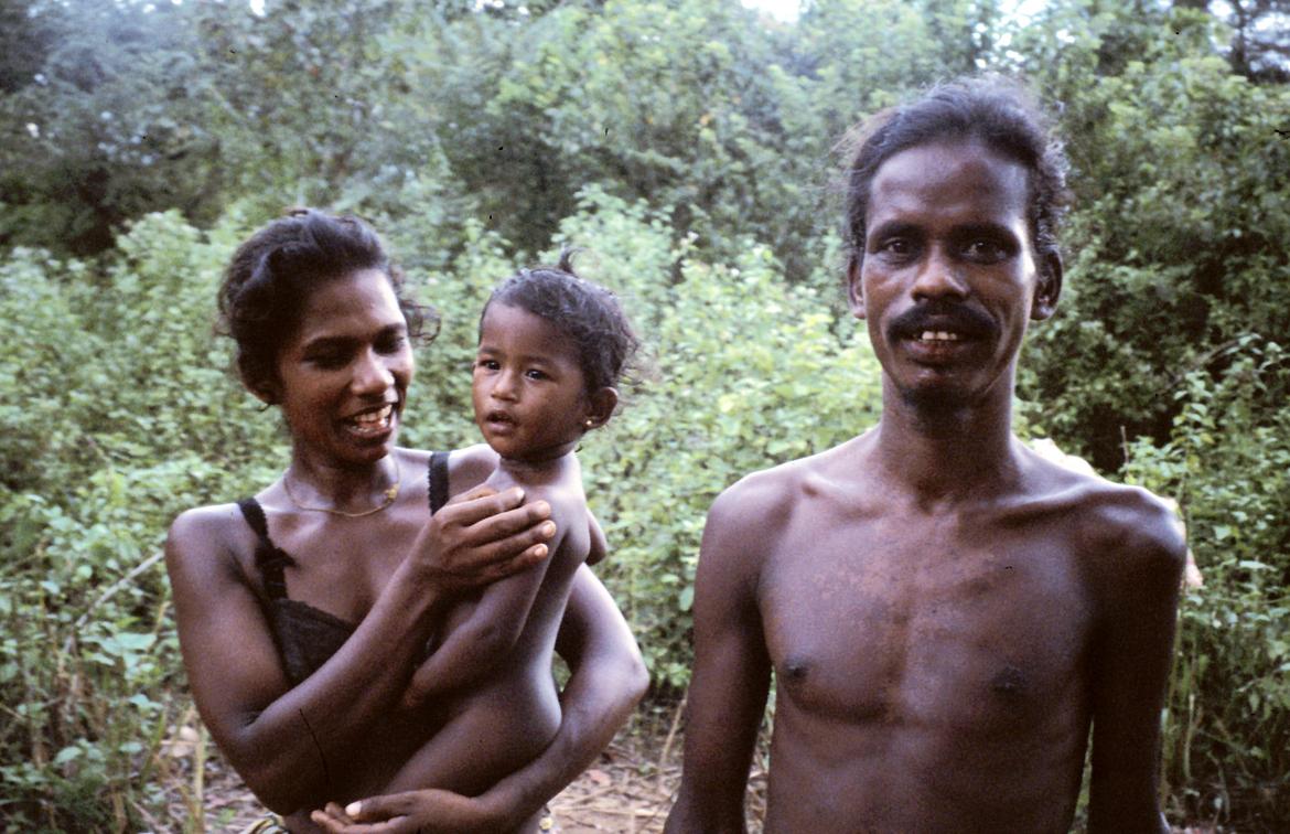 Sri Lankan park guard kills tribal man