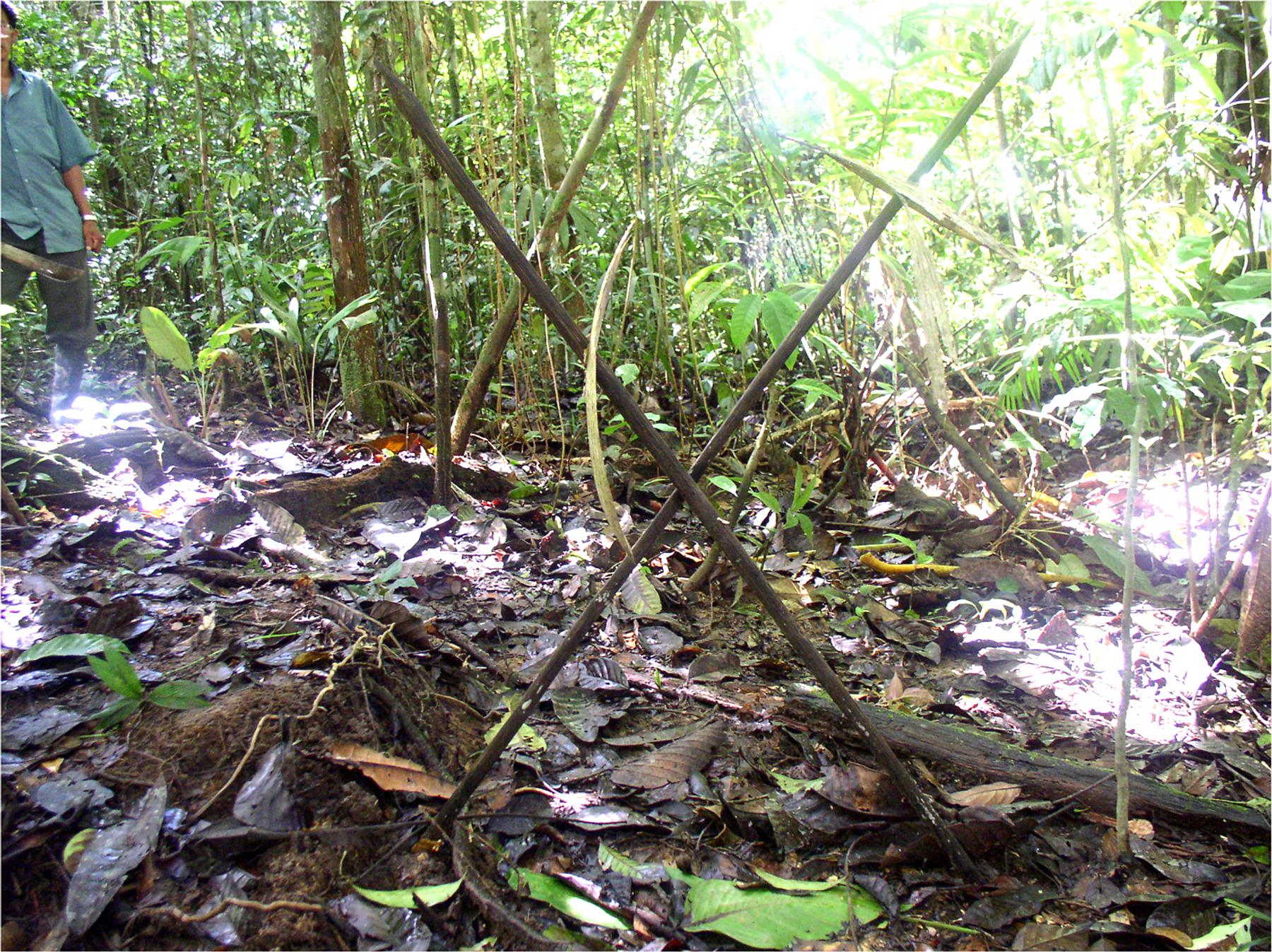 Uncontacted Tribes of Peru