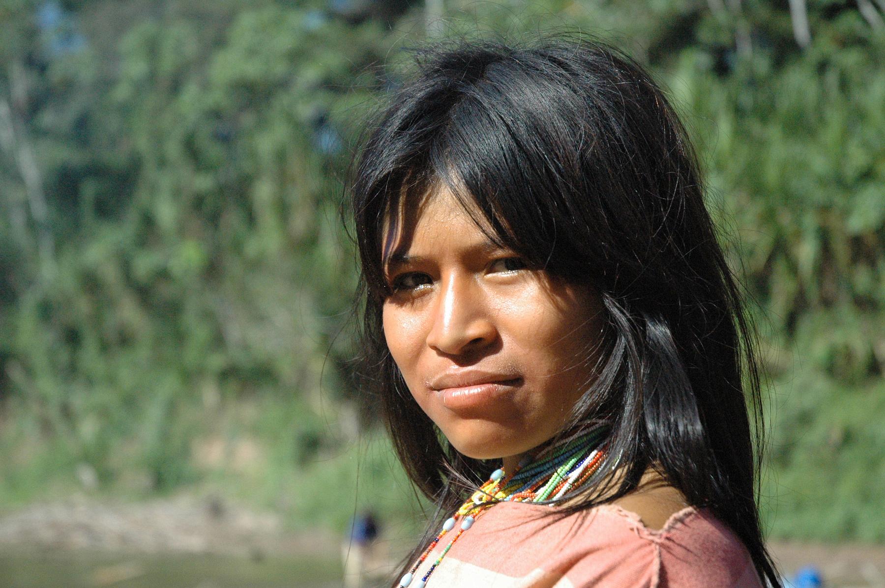 Concern over uncontacted tribes fleeing loggers