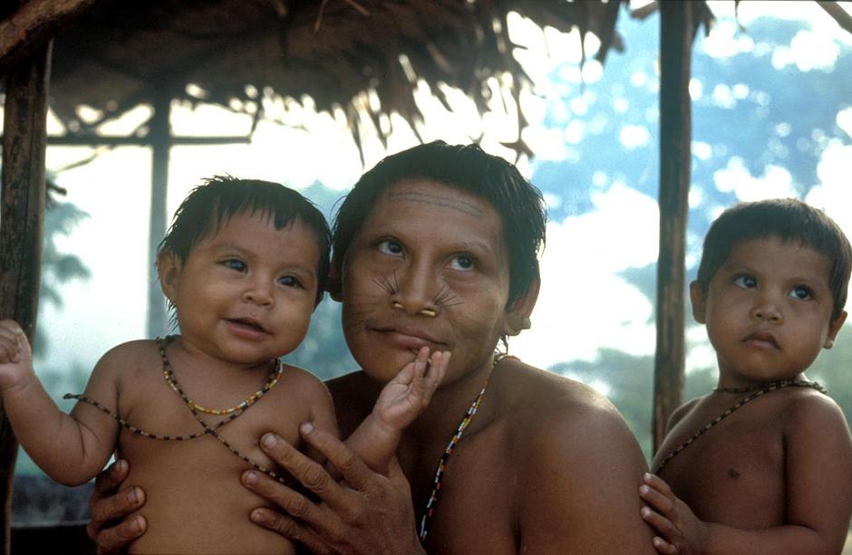 Brazilian authorities to search for uncontacted Indians in Amazon