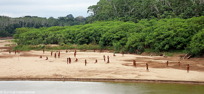 An avoidable tragedy: Loggers killed by uncontacted Mashco Piro in Peru