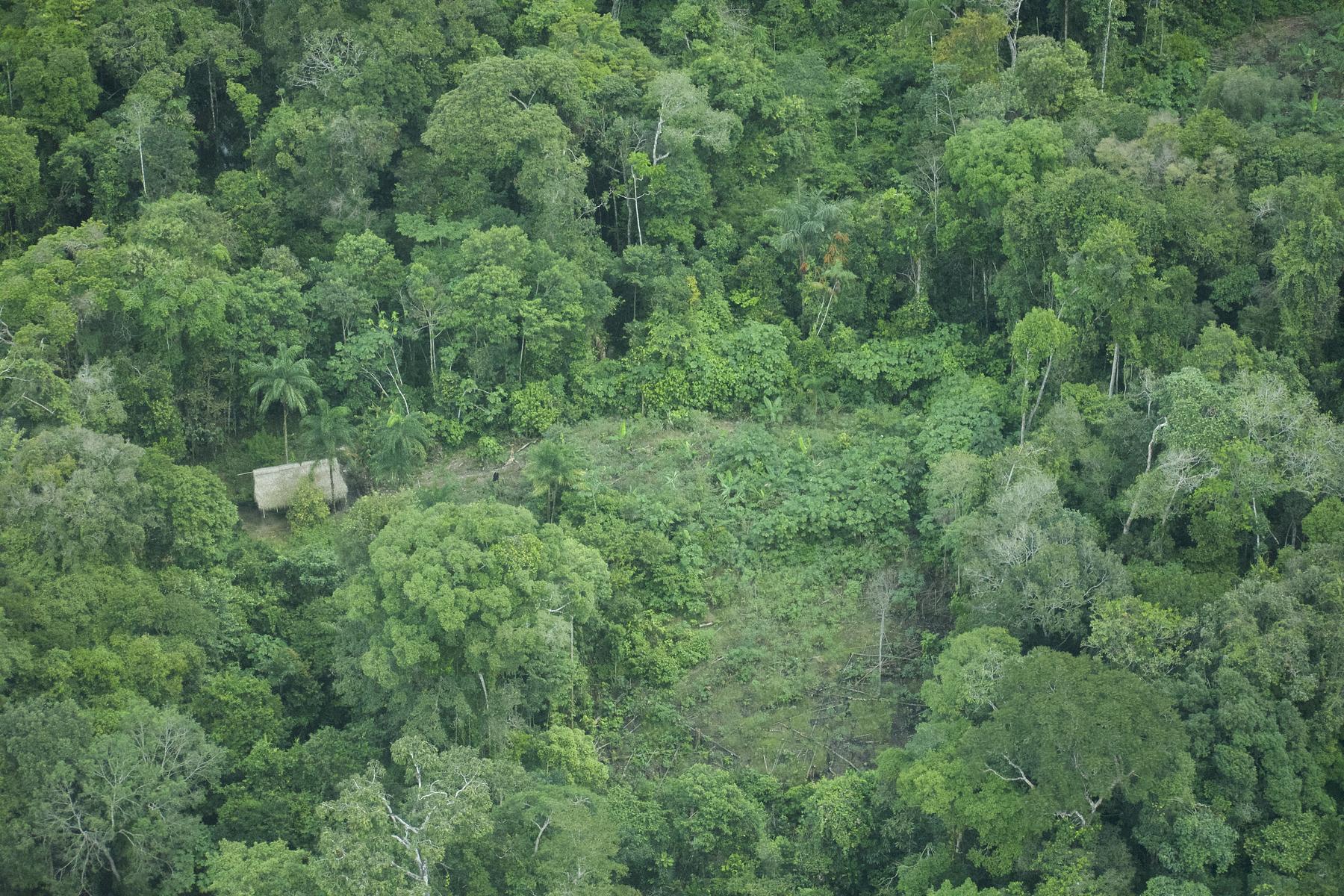 Peru: Indigenous organizations denounce “extermination campaign ...