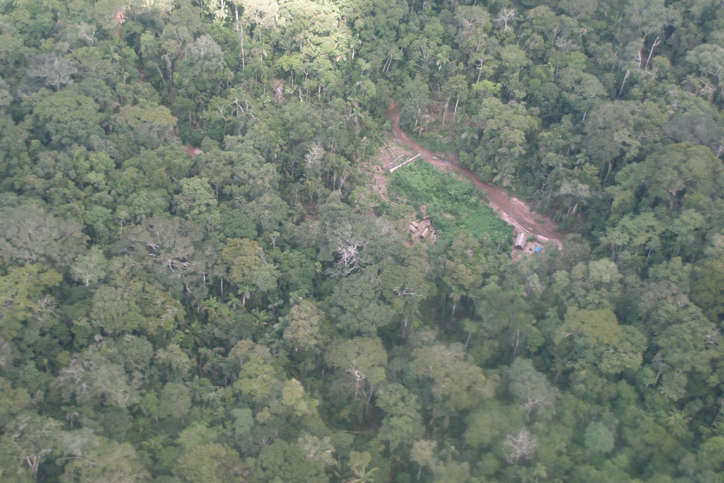 Fotos aéreas muestran la presencia de madereros en territorio de ...