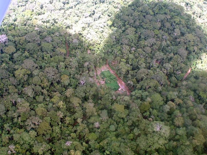 Gobierno peruano sobrevolará tierra de indígenas aislados