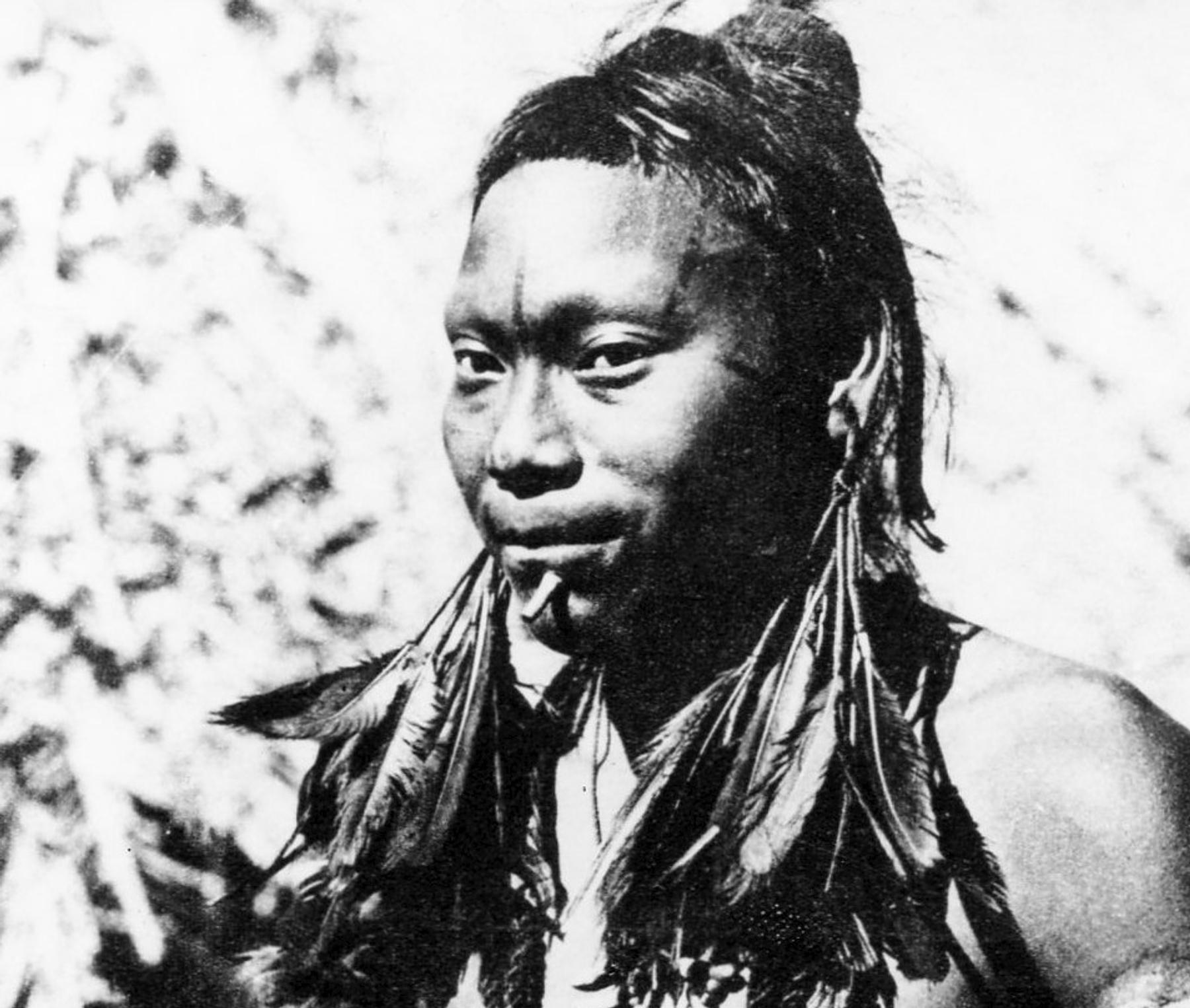 Popoli indigeni del Brasile