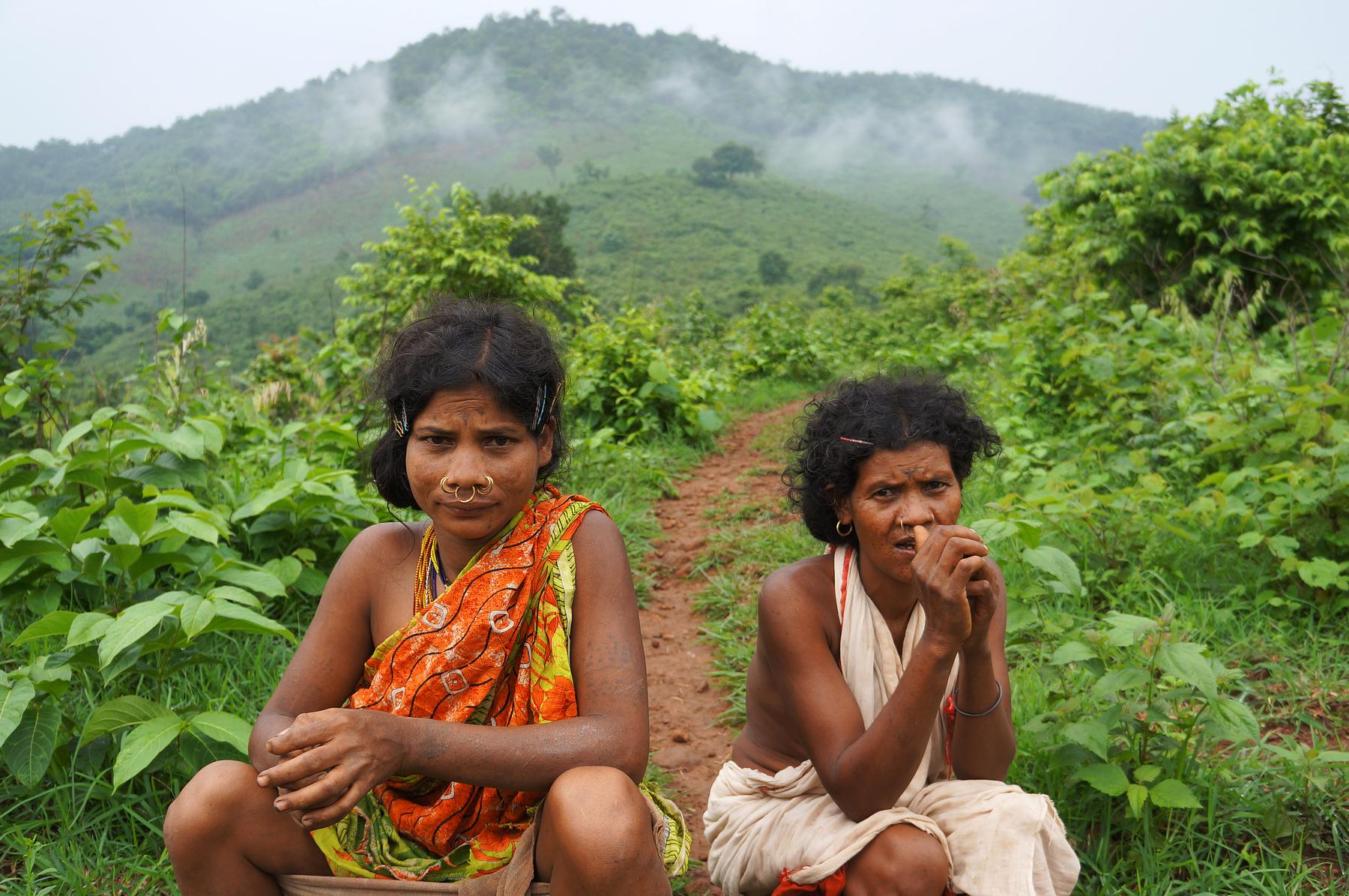 India: Dongria Kondh tribe under threat again