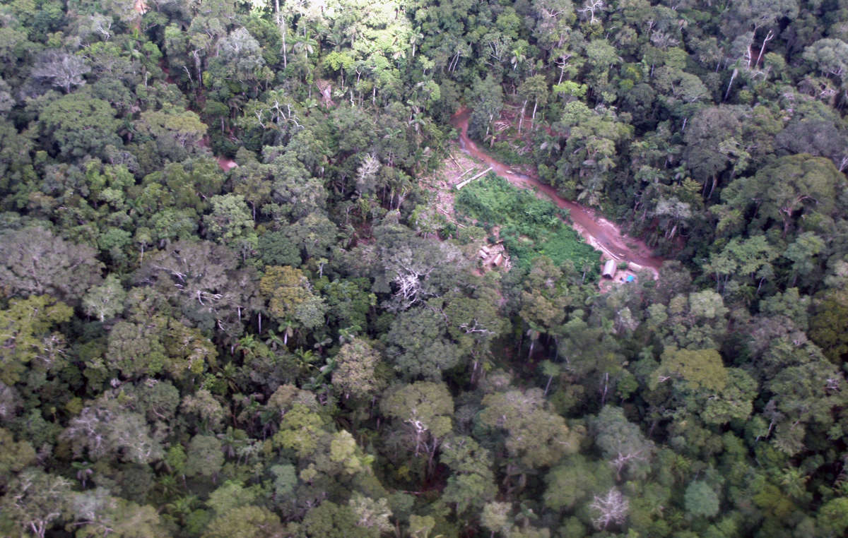 Aerial photos reveal loggers inside uncontacted Indians’ territory