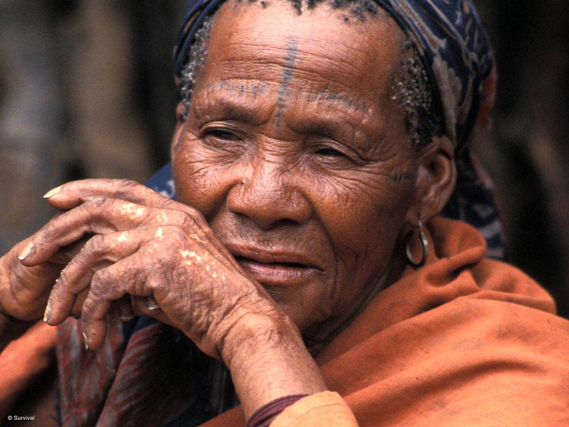 Bushmen