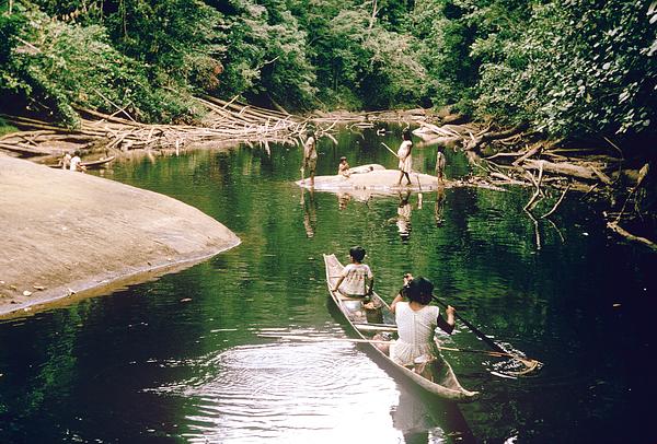 Guyana: Plan für Monster-Staudamm enthüllt