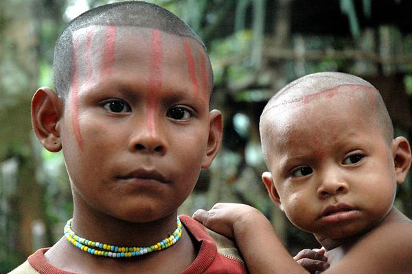 Anti-extinction campaign launched to protect 35 Colombian tribes