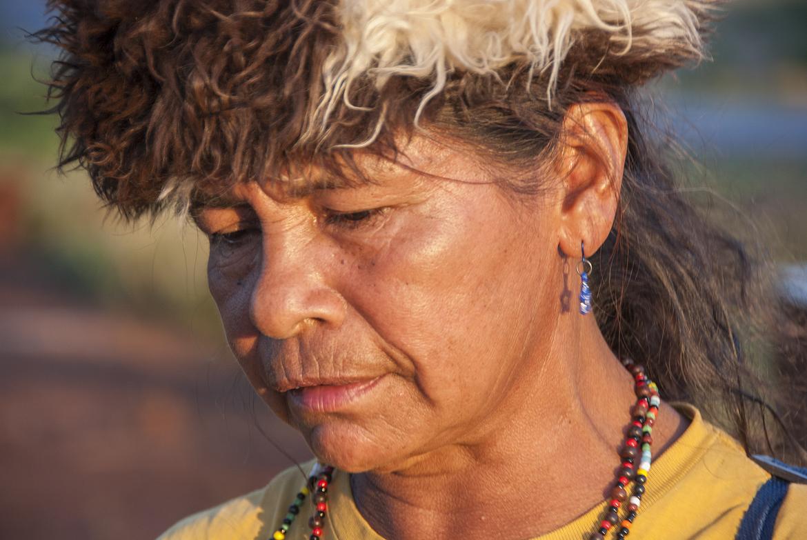 Indigenous peoples & campaigns