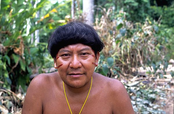 Renowned Indigenous leaders call for end to uncontacted 'genocide'