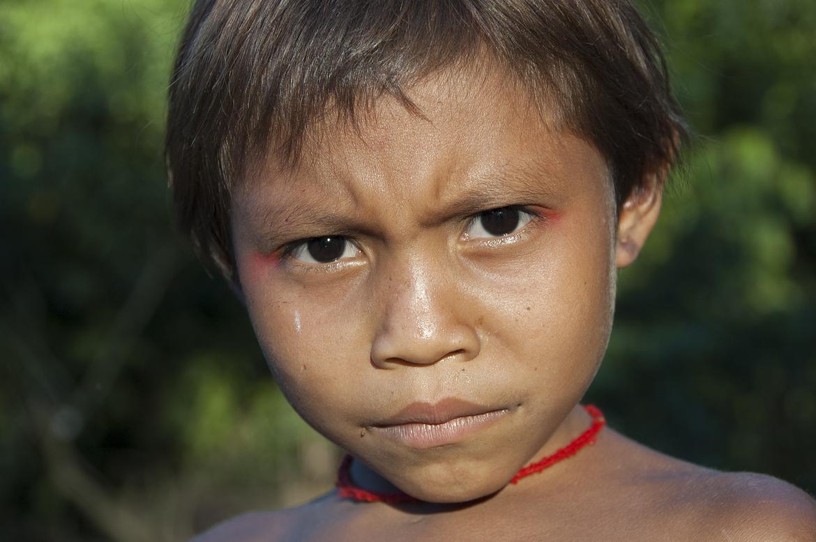Venezuela and Brazil: Violence and destruction escalate in the Yanomami ...