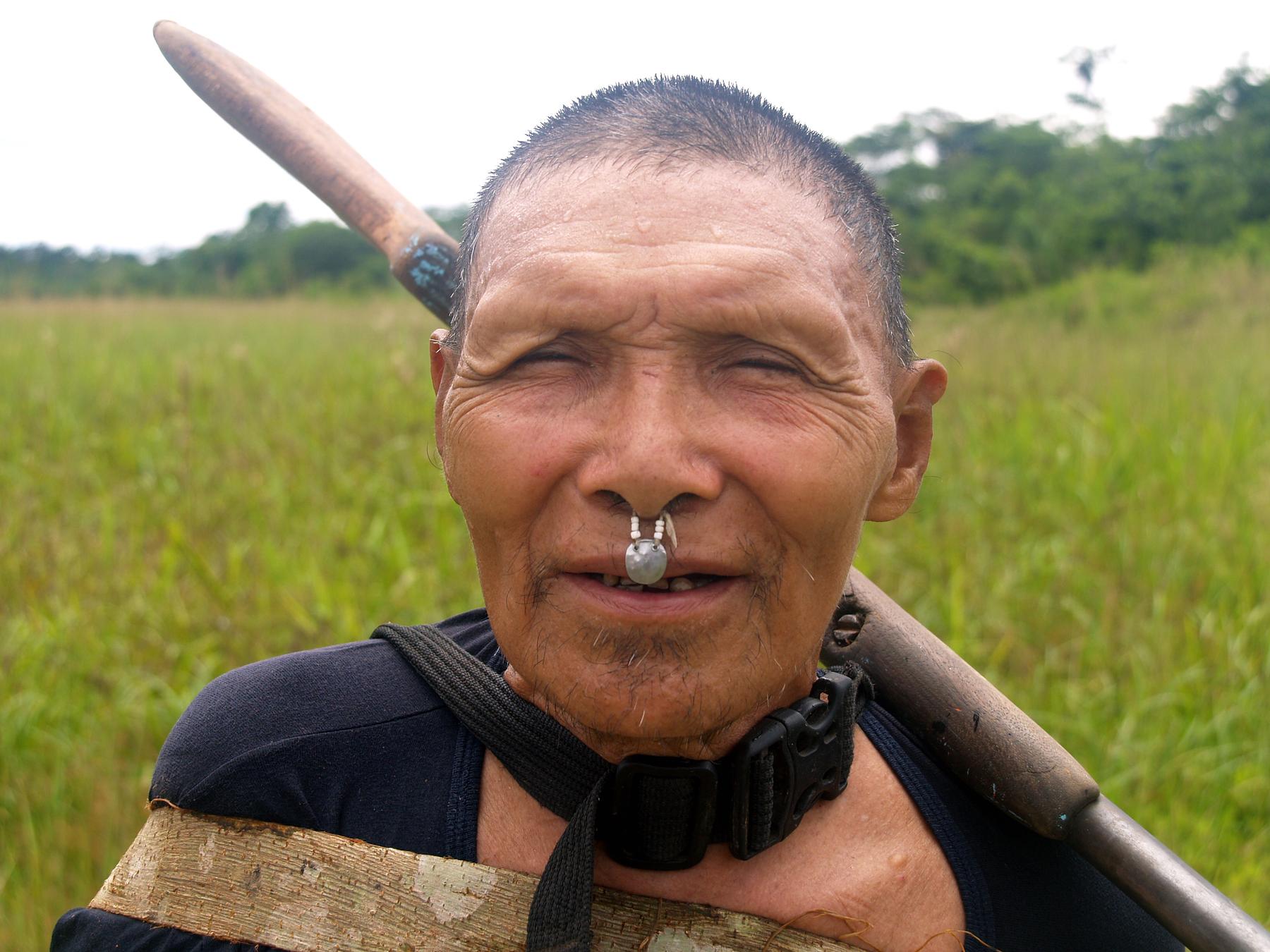 US timber demand threatens uncontacted Peruvian tribe