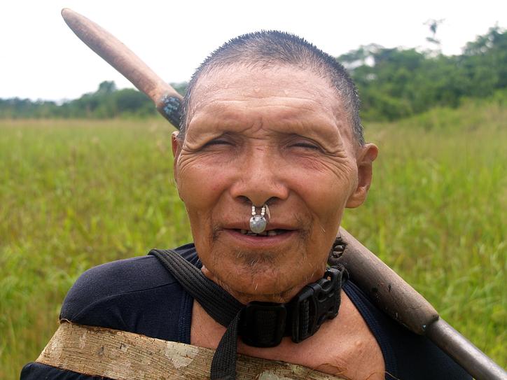 US timber demand threatens uncontacted Peruvian tribe