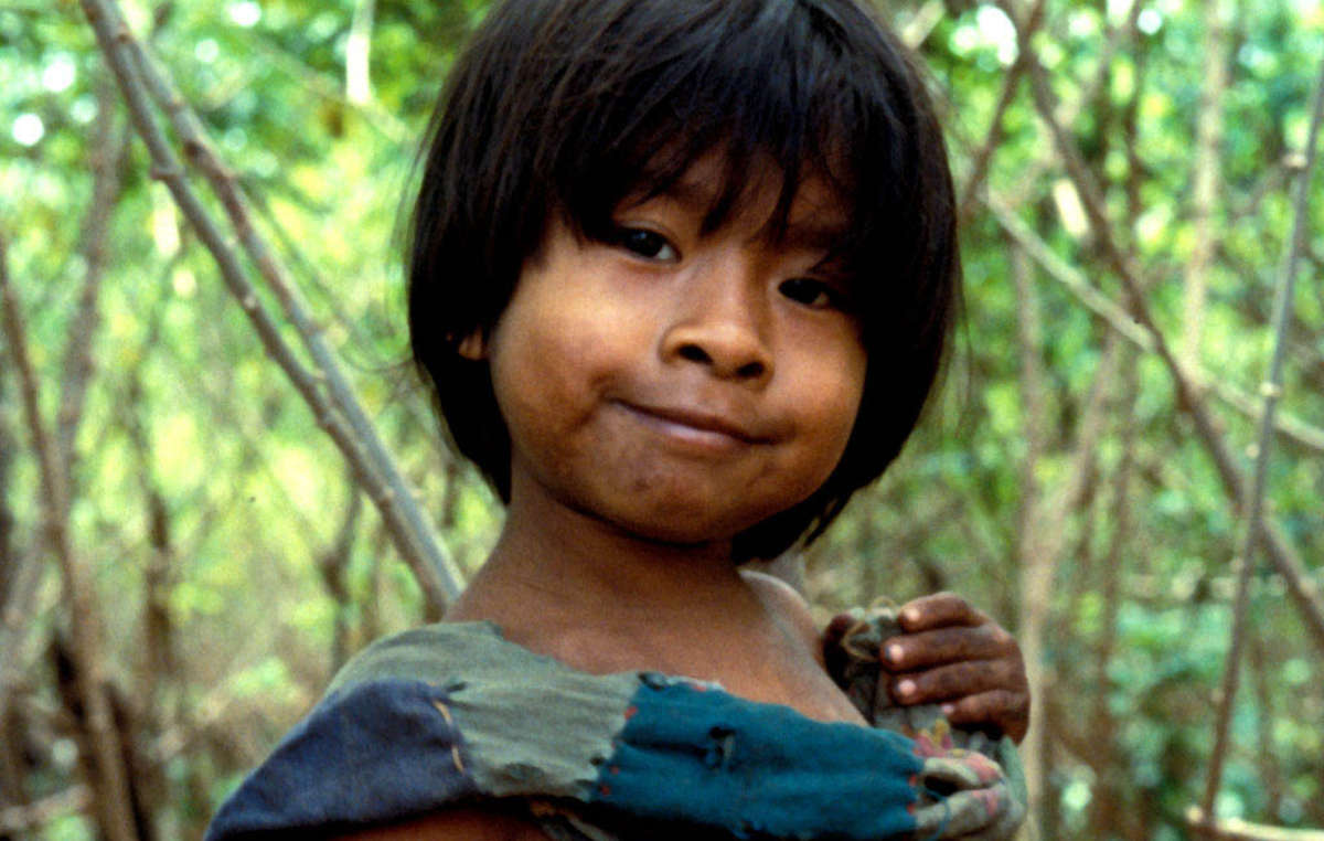 Questions/réponses au sujet des Awá - Survival International