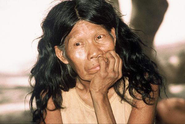 UN official condemns 'massive destruction' of uncontacted tribe's land