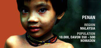 Penan - Survival International