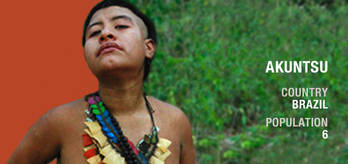 Acuntsu - JungleKey.pt Imagem